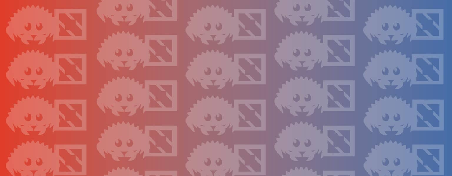 Scholarships | LF Events